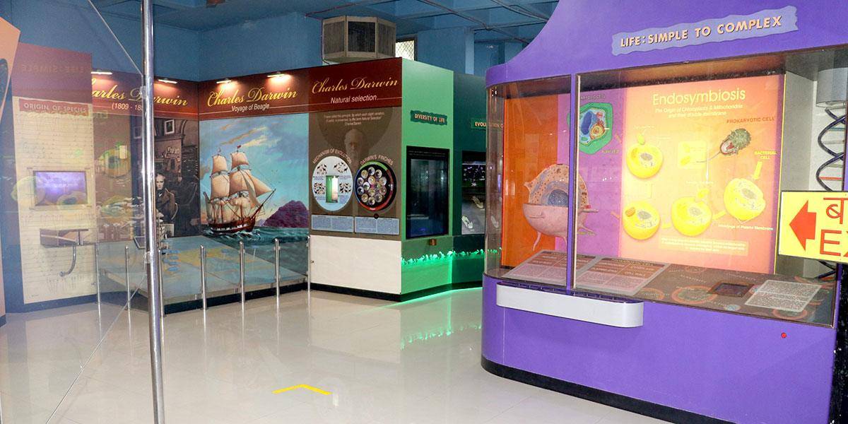 Hall of Evolution – Nehru Science Centre, Mumbai